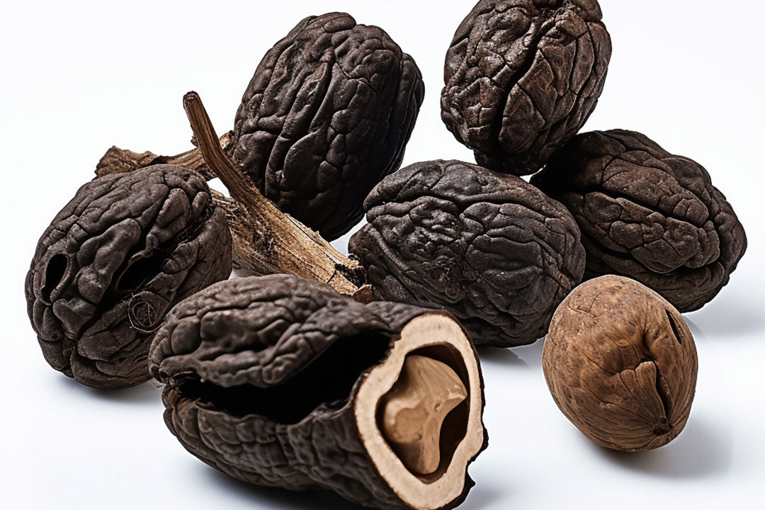 The Wonders of Black Walnut Hull: Top Health Benefits – Judah