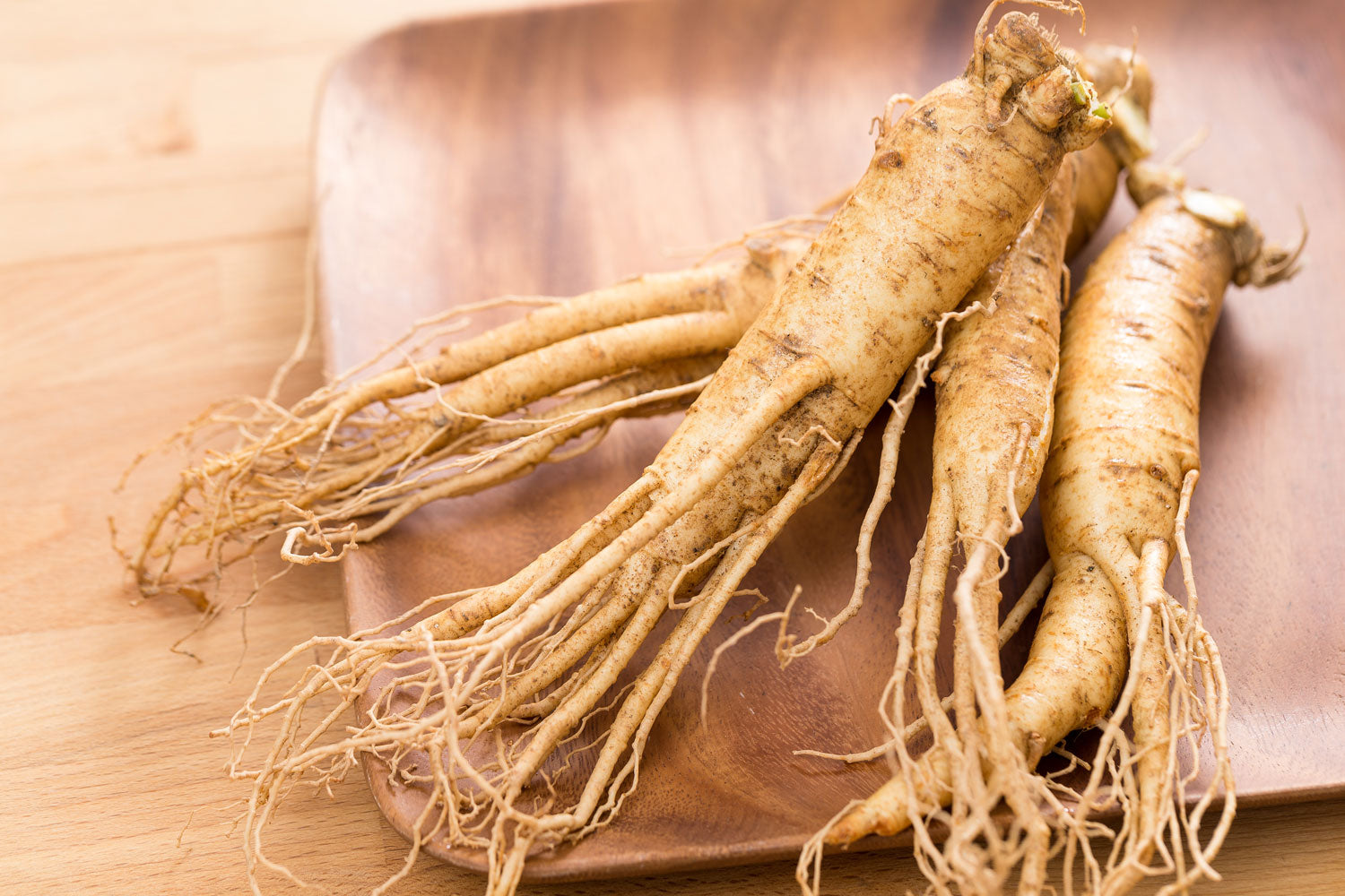 Ginseng And Pep Sticks: Health Benefits Unveiled – Judah